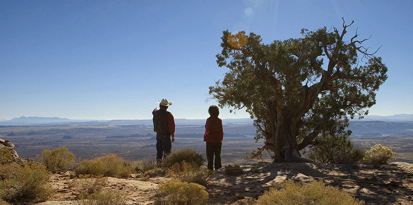 Cultural Uses of Pinyon and Juniper Forests | Grand Canyon Trust