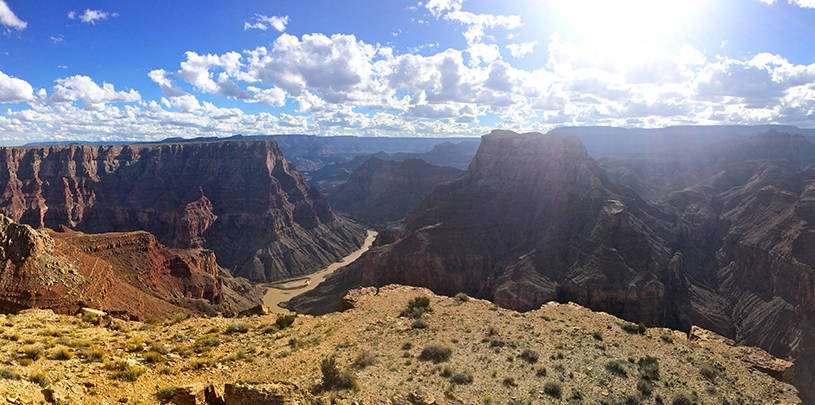 Bioblitz at the Confluence | Grand Canyon Trust Bioblitz at the Confluence | Grand Canyon Trust