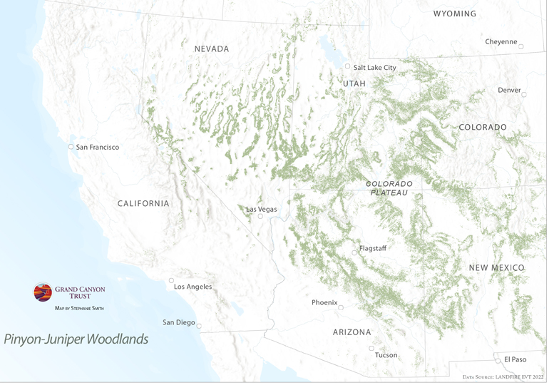 Resources | Grand Canyon Trust