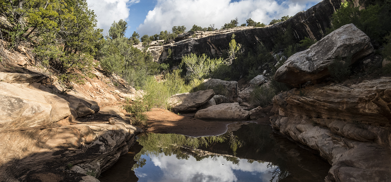 Kane Gulch to Stimper Arch | Grand Canyon Trust