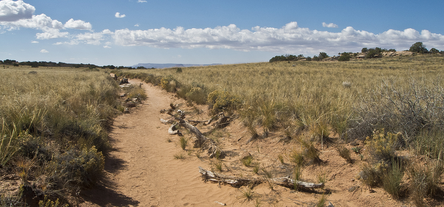 Murphy Point Overlook - Canyonlands | Grand Canyon Trust