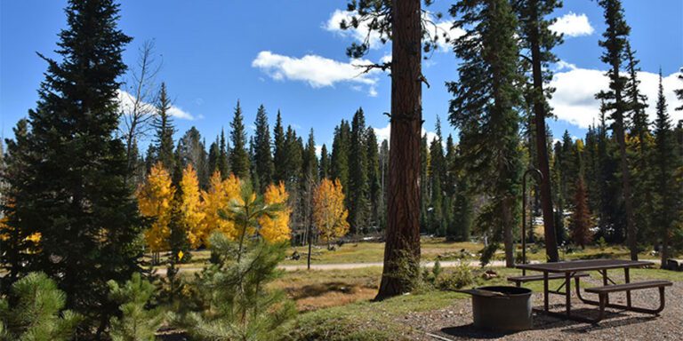 Grand Canyon Camping Guide | Grand Canyon Trust