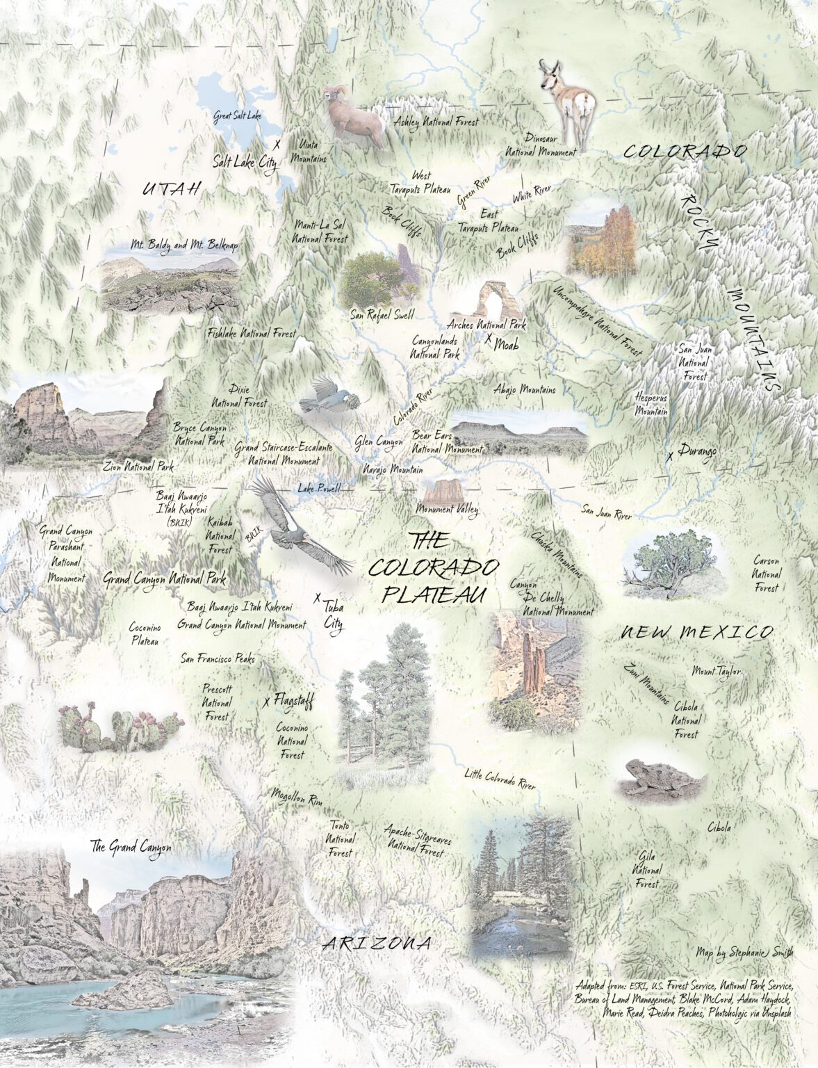 Colorado Plateau Map (2025 edition) | Grand Canyon Trust