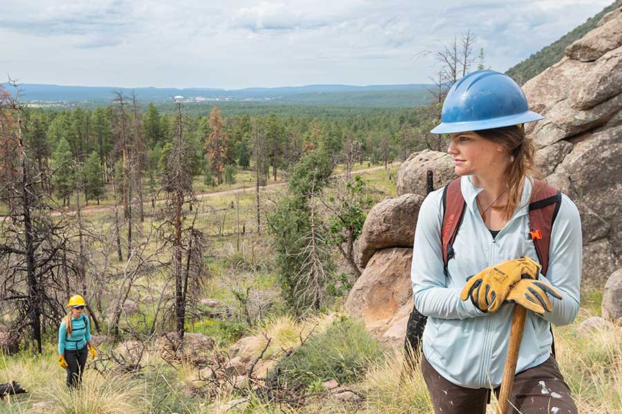 HIRING | Post-Wildfire Restoration Intern