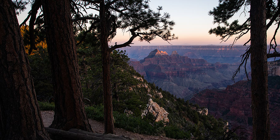 After the Fires: Restoring the Grand Canyon's North Rim | Grand Canyon ...