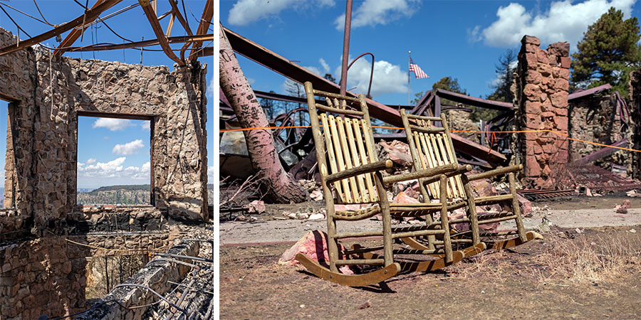 After the Fires: Restoring the Grand Canyon's North Rim | Grand Canyon ...